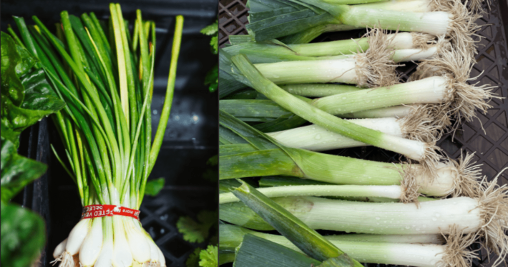 Spring Onion vs Leek: A Comparative Guide to Their Health Benefits ...