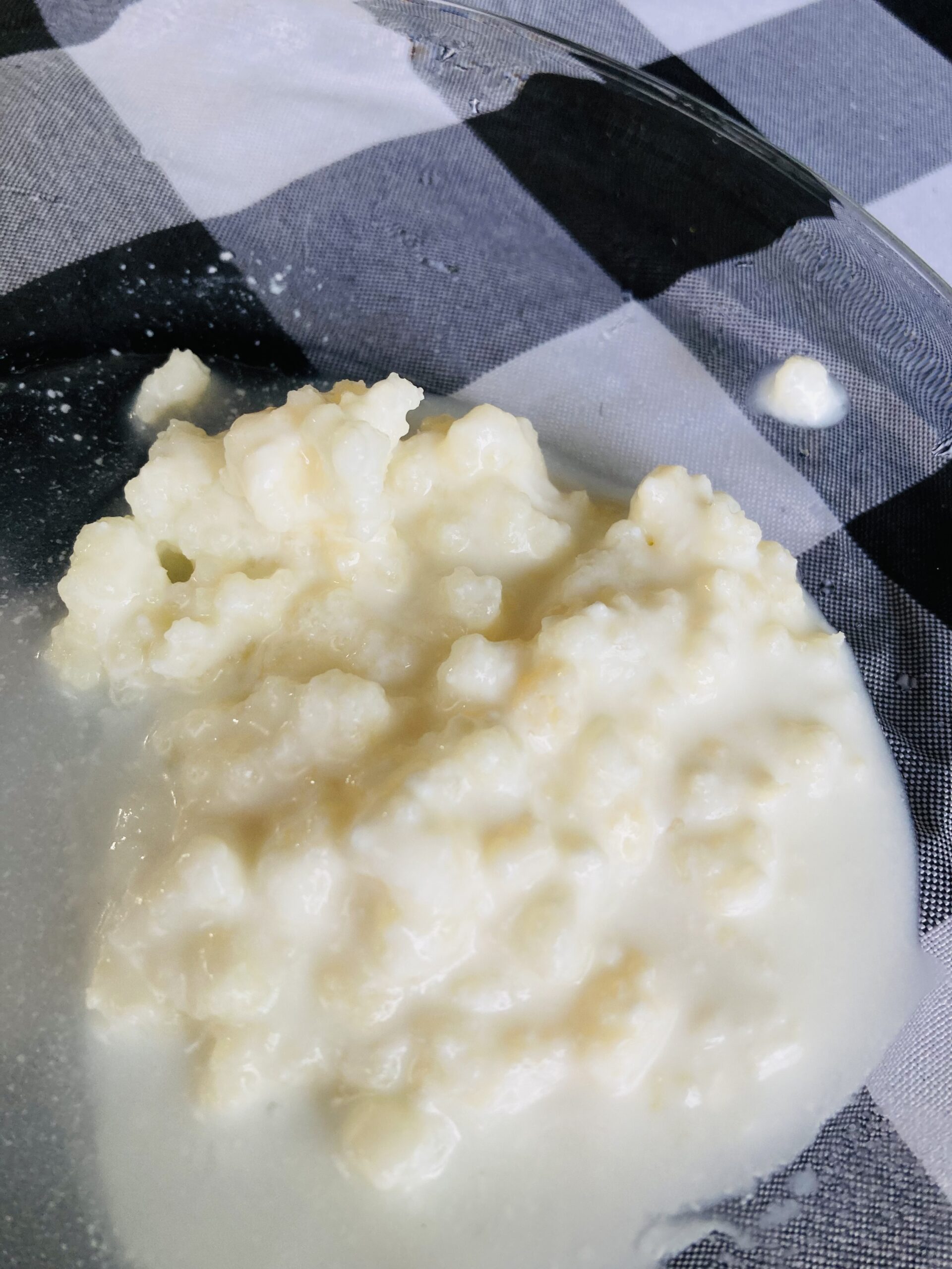 Prebiotic vs Probiotic-for constipation - abavistwellness.com