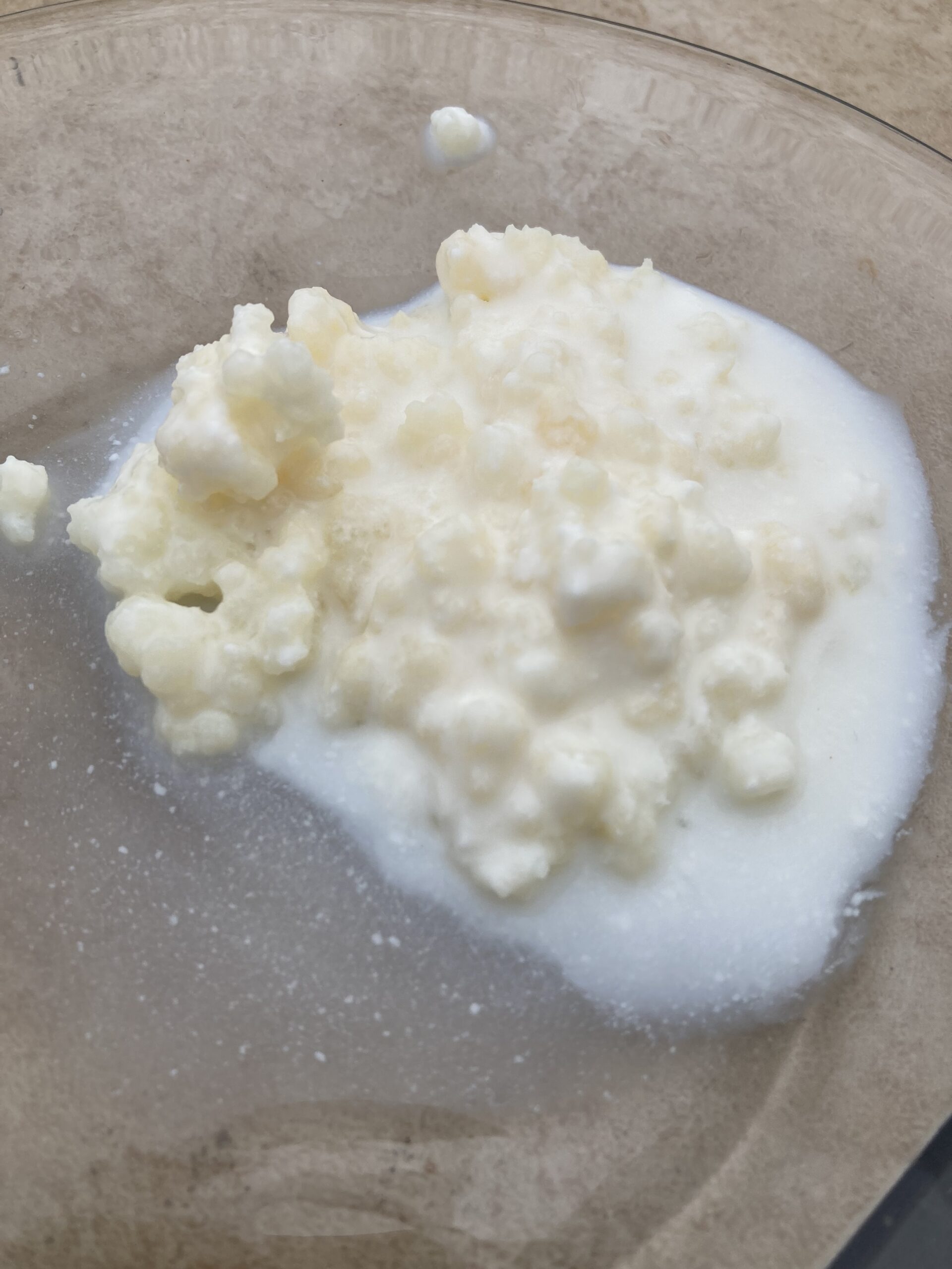 Prebiotic vs Probiotic-for constipation - abavistwellness.com