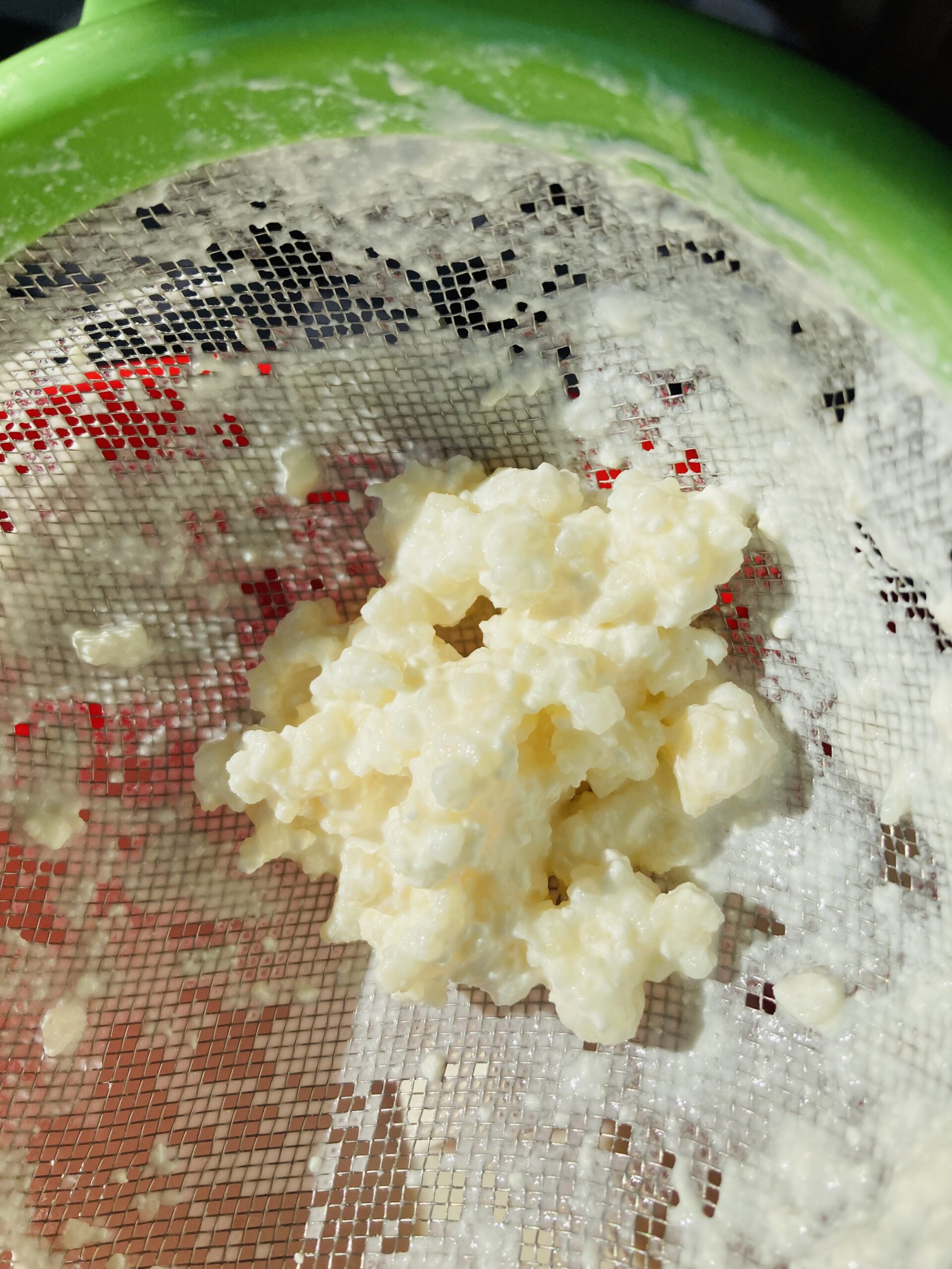 Kefir Grains: benefits, 4 types, uses, care - abavistwellness.com